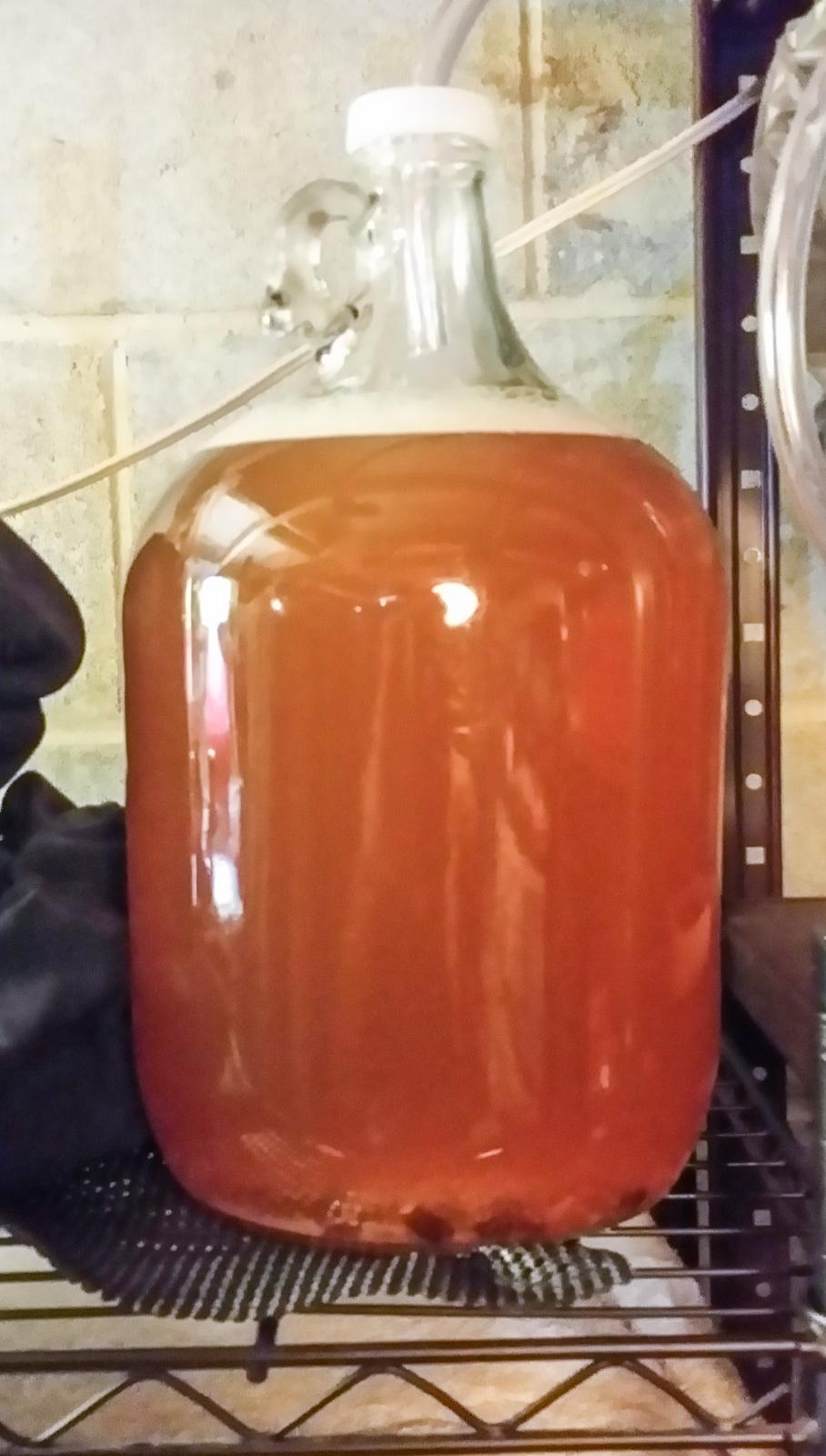 Making a Mead with Apples. | Homebrew Talk - Beer, Wine, Mead, & Cider ...