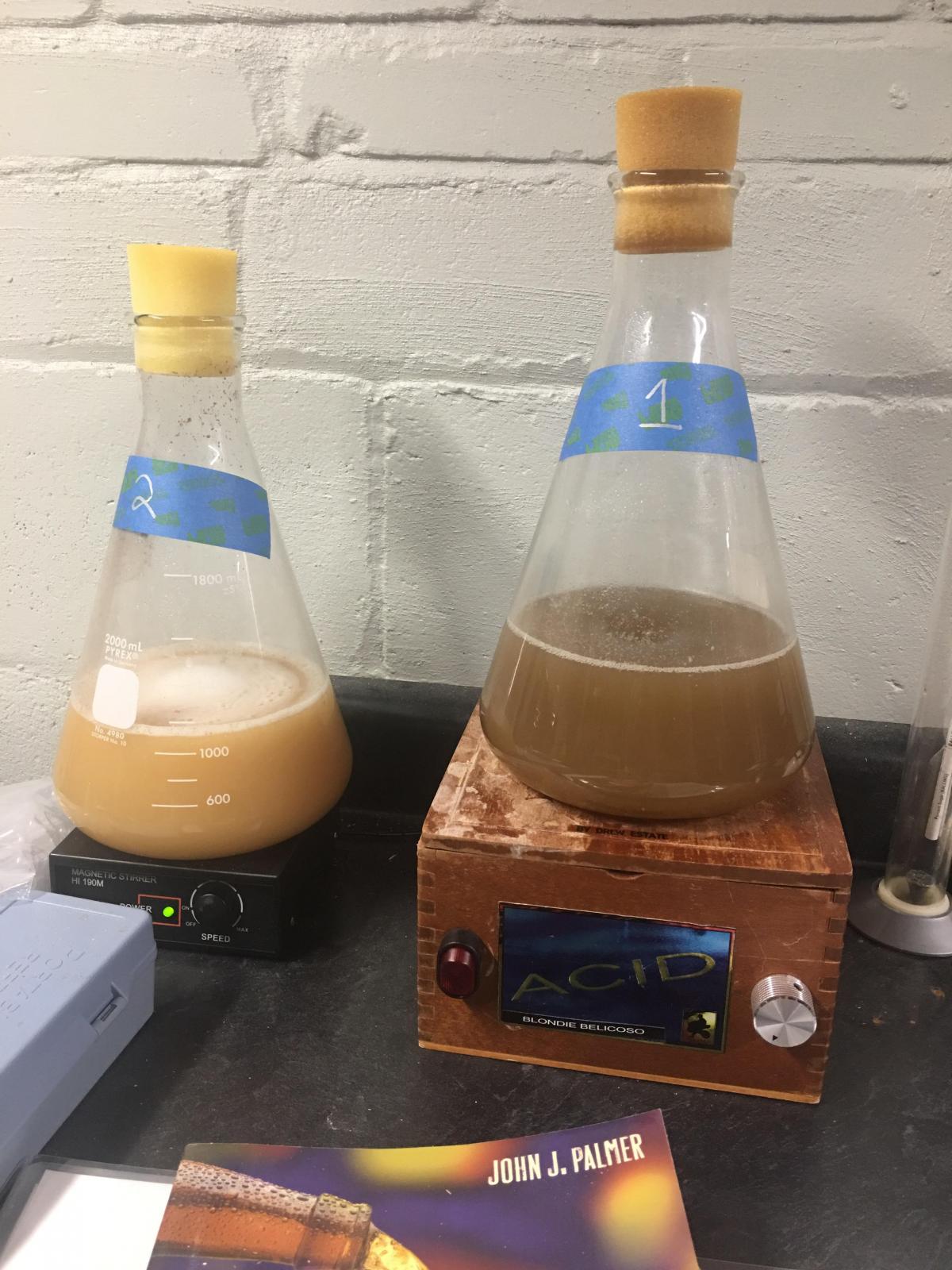 Omega Pilsner Yeast Strains 1 and 2 | Homebrew Talk - Beer, Wine, Mead ...