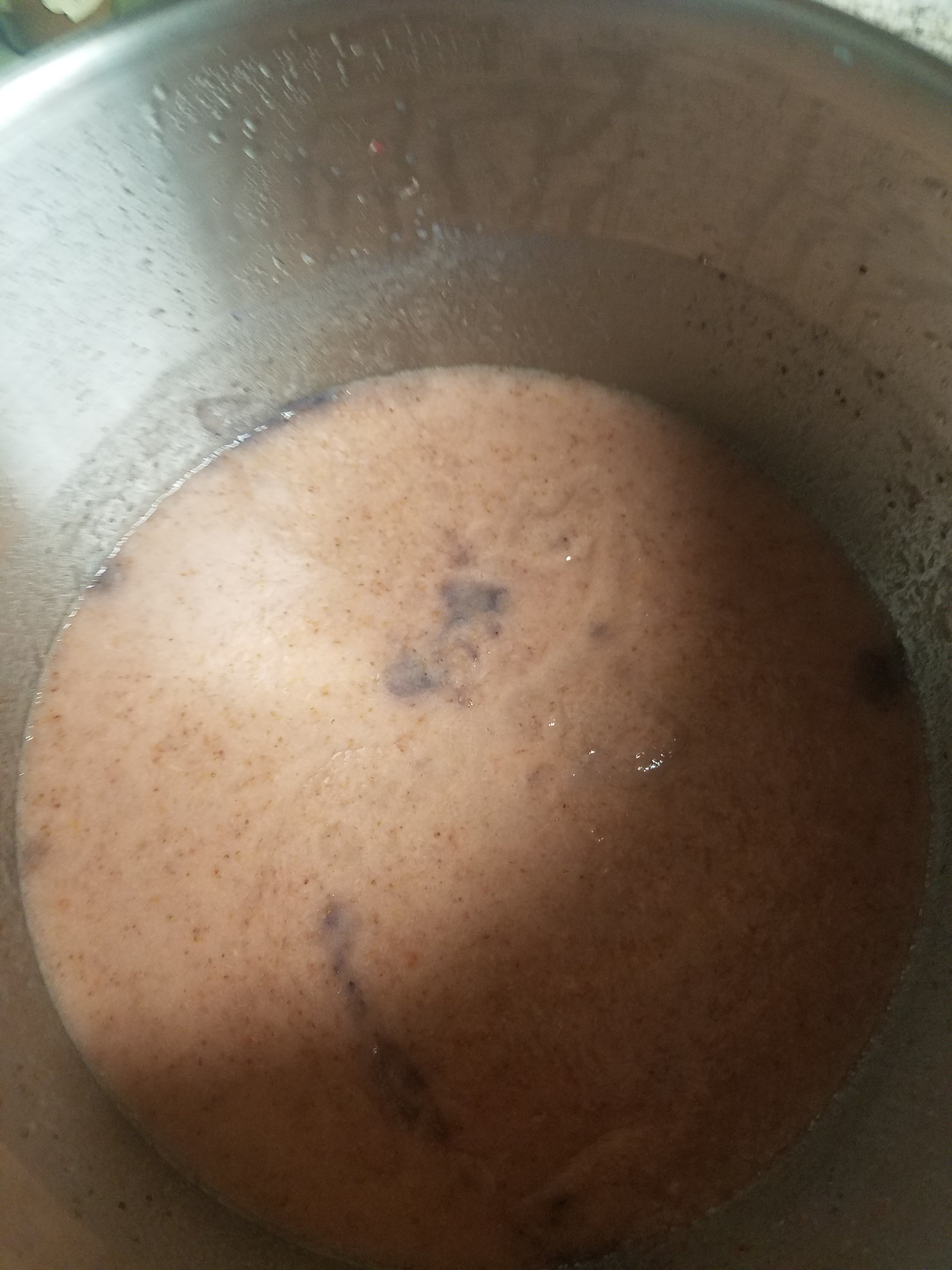 Contamination or just discoloration? (Fruit addition) | Homebrew Talk ...