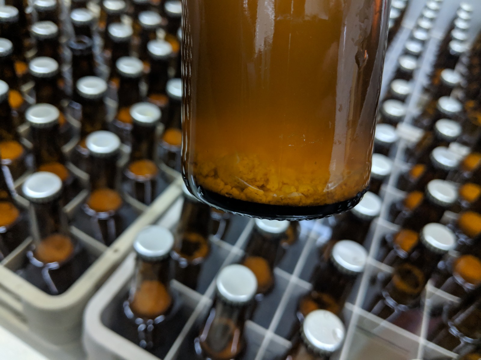 pasteurization sediment | Homebrew Talk - Beer, Wine, Mead, & Cider ...