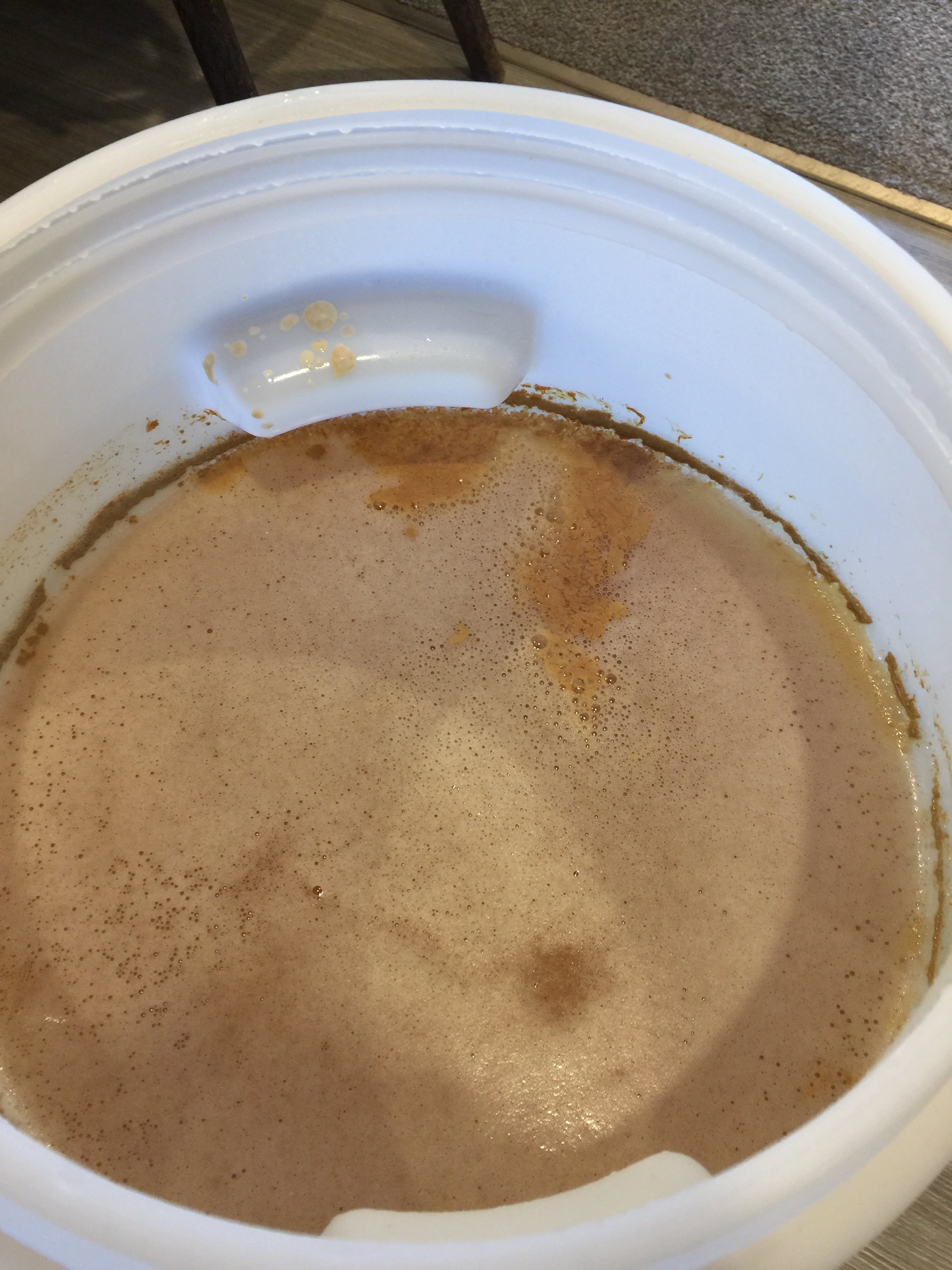 Bacterial infection?? | Homebrew Talk - Beer, Wine, Mead, & Cider ...