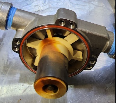 Topsflow/Steelhead-2.0 pumps and rust | Homebrew Talk - Beer, Wine ...