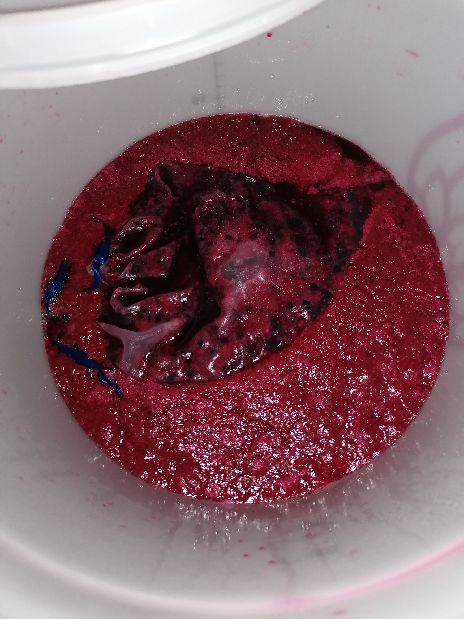 My Skeeter Pee and Country Wine Diary | Homebrew Talk - Beer, Wine ...